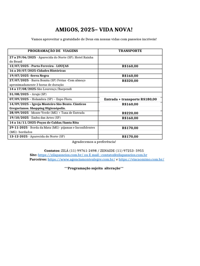 Programacao Zila Corrigida | PDF