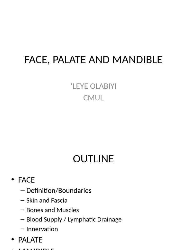 Face, Palate and Mandible | PDF | Human Nose | Human Head And Neck