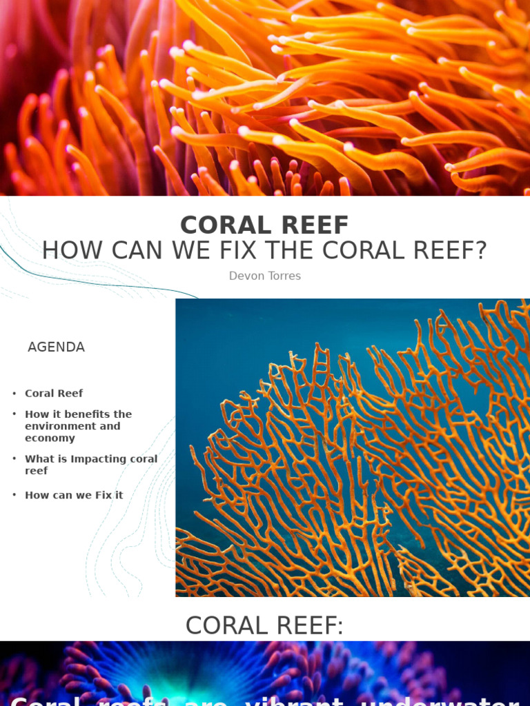 Coral Reef Presentation | PDF | Coral | Coral Reef
