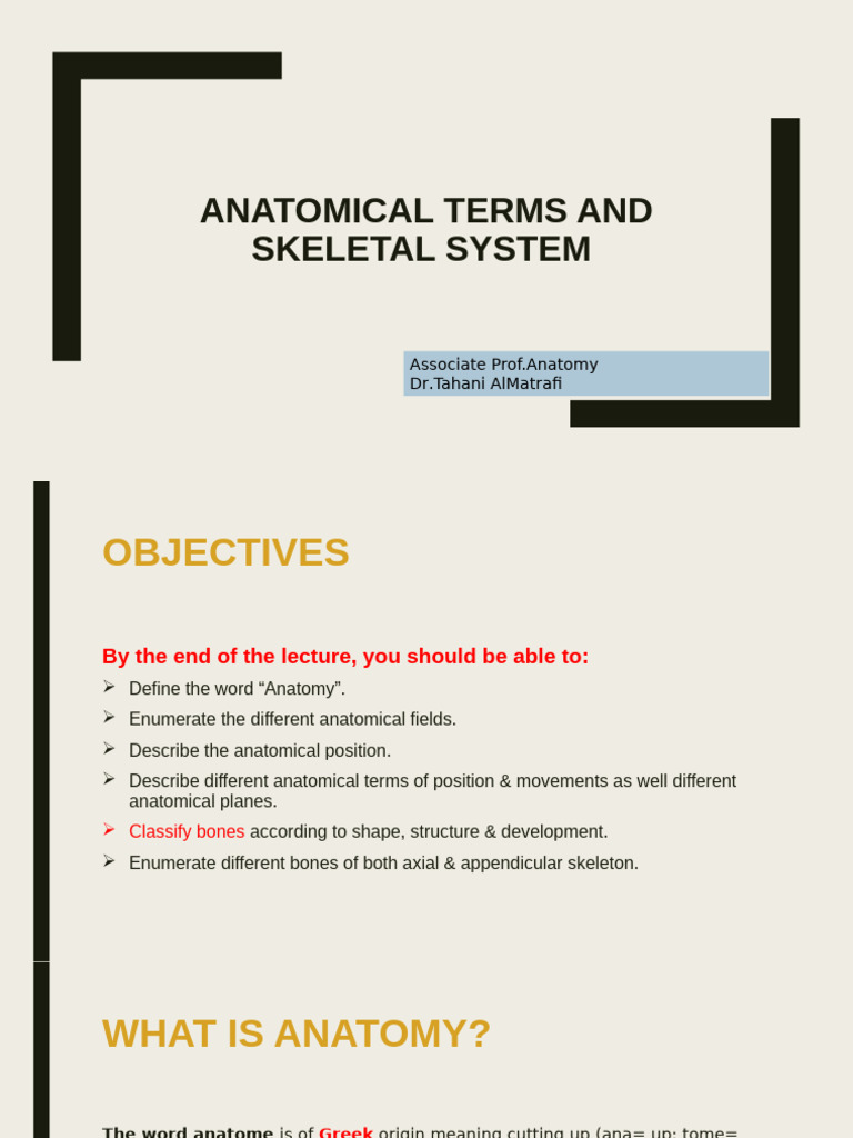 Anatomy and Skeletal System Overview | PDF | Anatomical Terms Of Motion ...