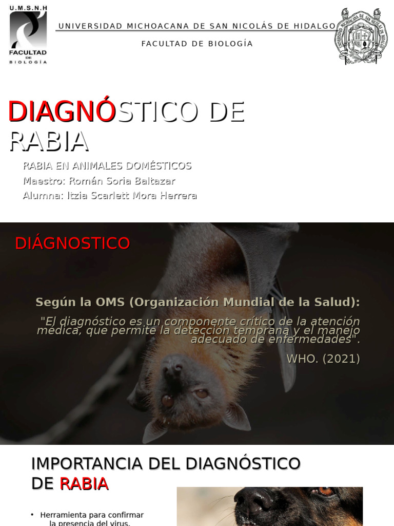 Diagnóstico de Rabia | PDF | Rabia | Virus