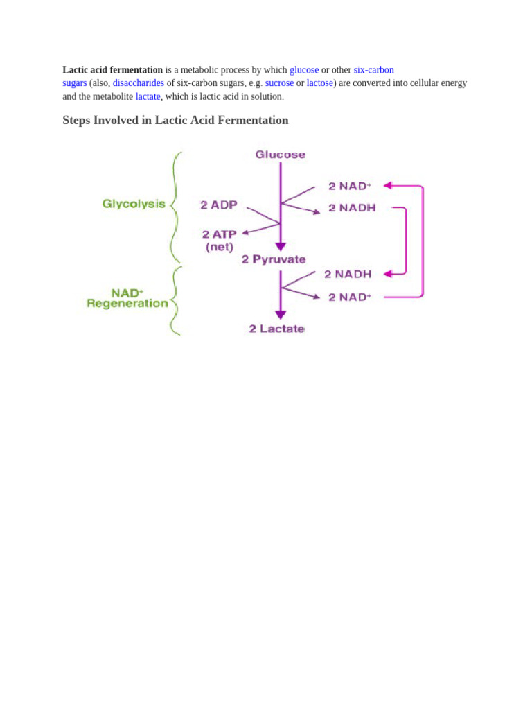 Lactic Acid Fermentation 2 | PDF