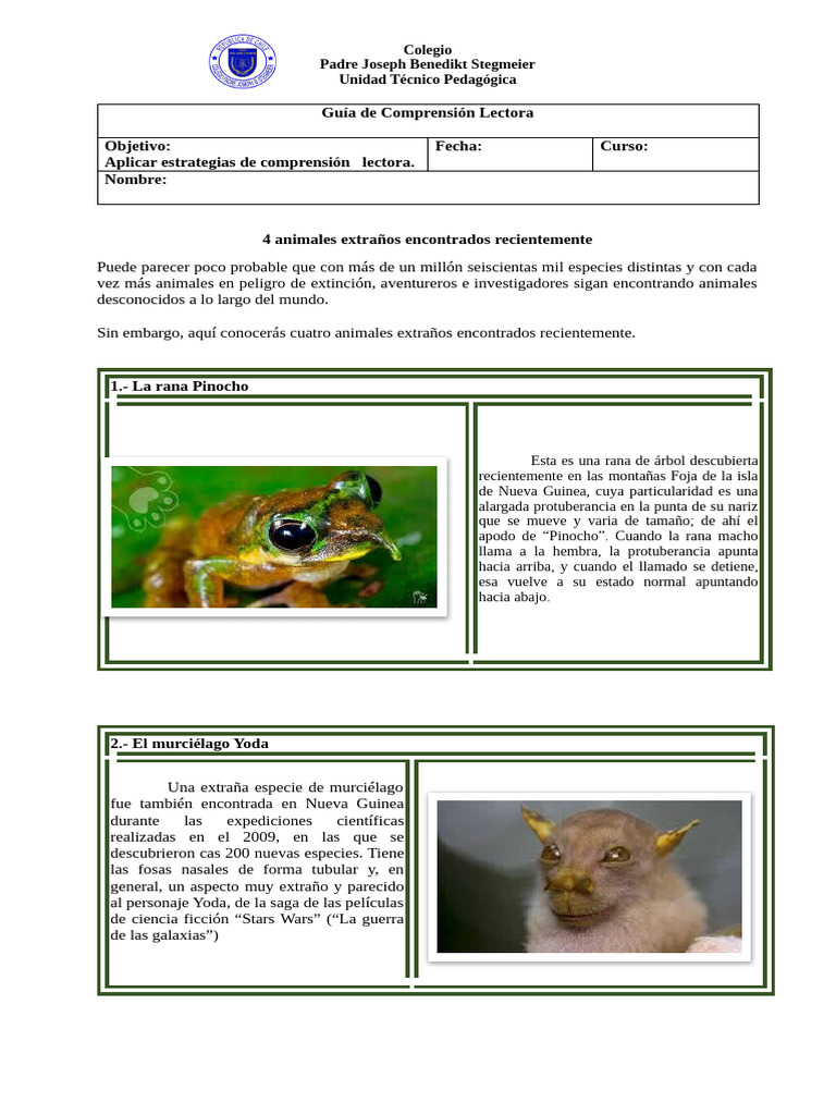 Guía Comprensión Lectora Cuarto Básico 4 Animales Extraños Encontrados ...