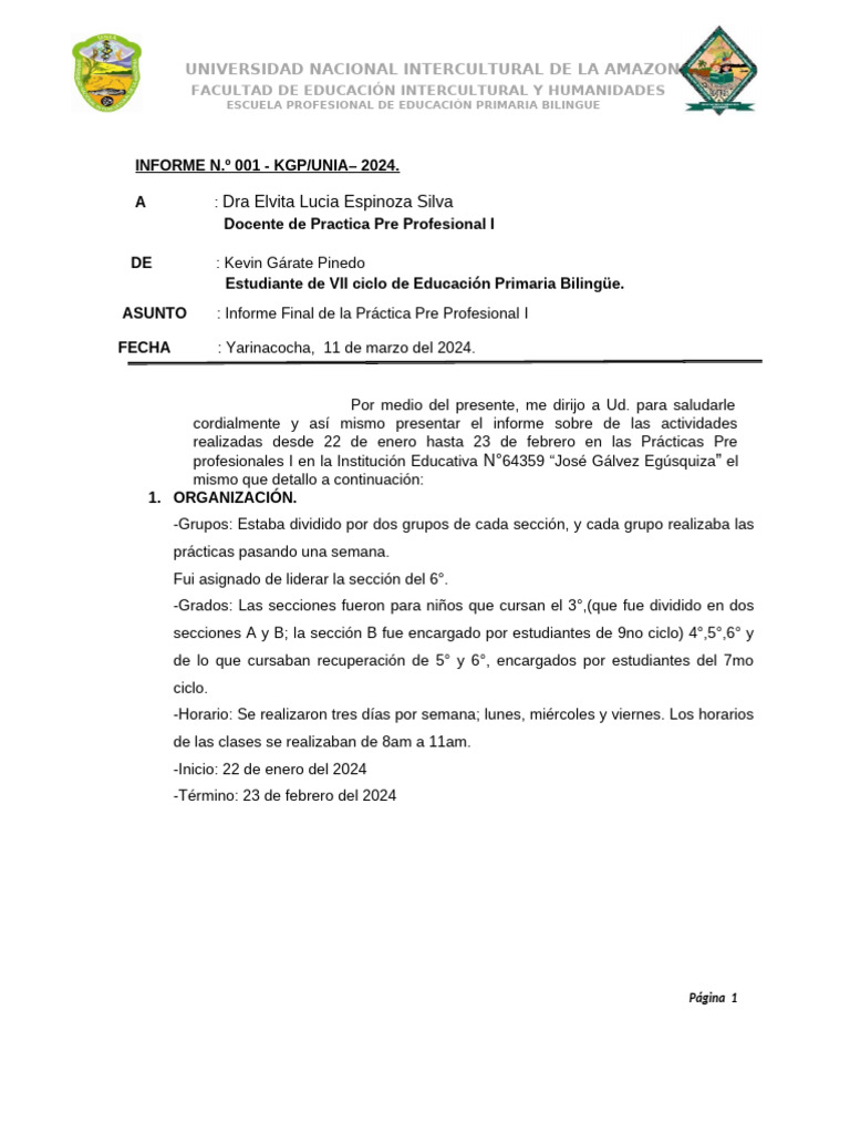 Avance-Informe Final de La PPP | PDF | Juventud | Aprendizaje