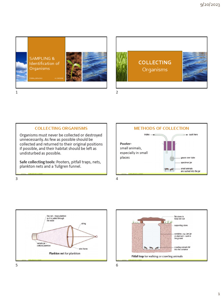 IDENTIFICATION & Sampling | PDF | Biology | Ecology