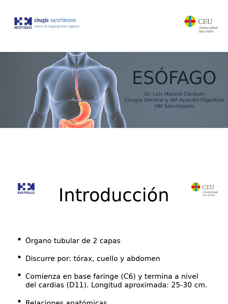 Clase Esofago | PDF | Esófago | Abdomen