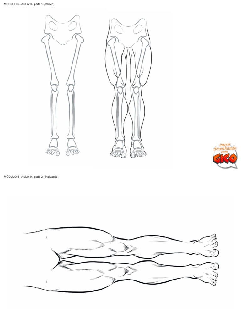 Modulo 5 Exercício 14.1 | PDF