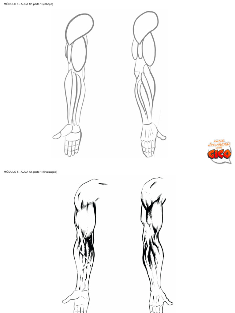 Modulo 5 Exercício 12.1 | PDF