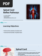 Dorsal Column-Medial Lemniscus (DCML) Pathway - Anatomy - Kenhub | PDF ...