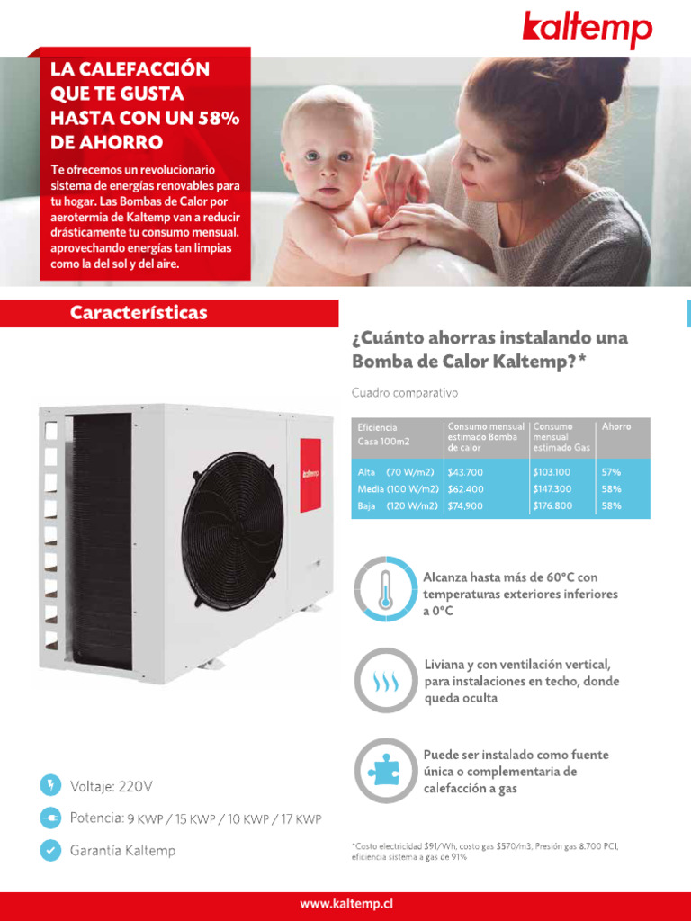 Smartpro 10 y 17 Inverter | PDF