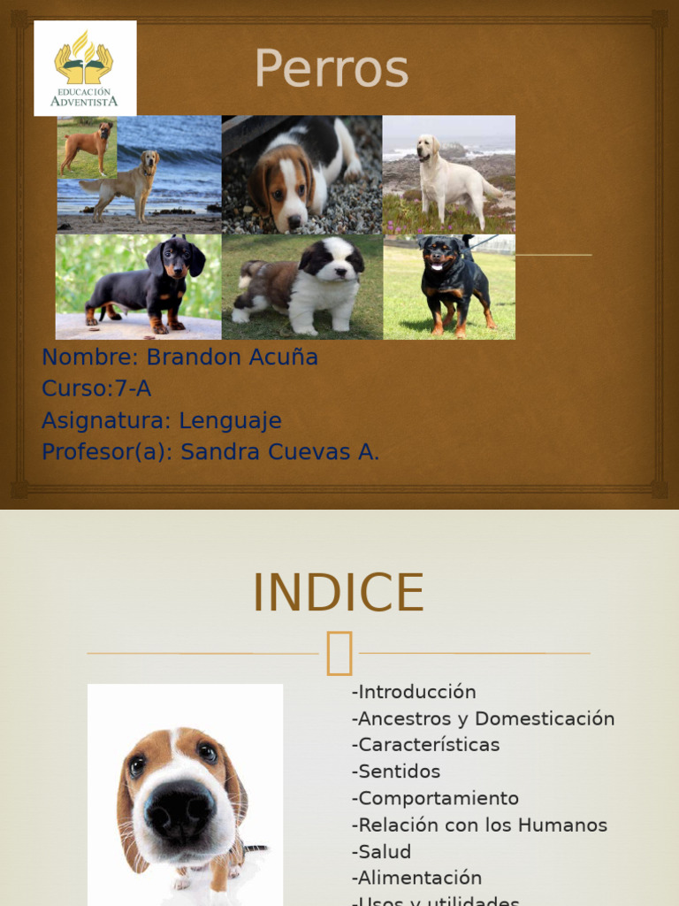 Los Perros | PDF | Perros | Zoología