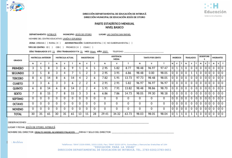 Formato Parte Mensual Basica 2025 Mayo | PDF