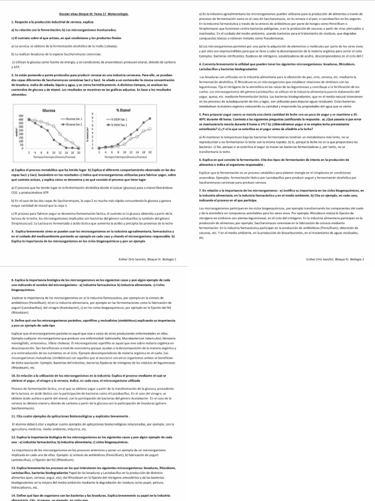 Dossier Ebau Bloque 4 - BIOTECNOLOGIA-Sol - C | PDF
