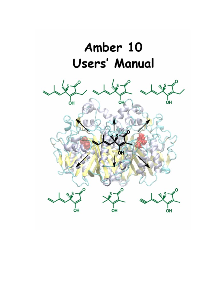 Amber 10 User Manual | PDF | Molecular Dynamics | Applied And ...