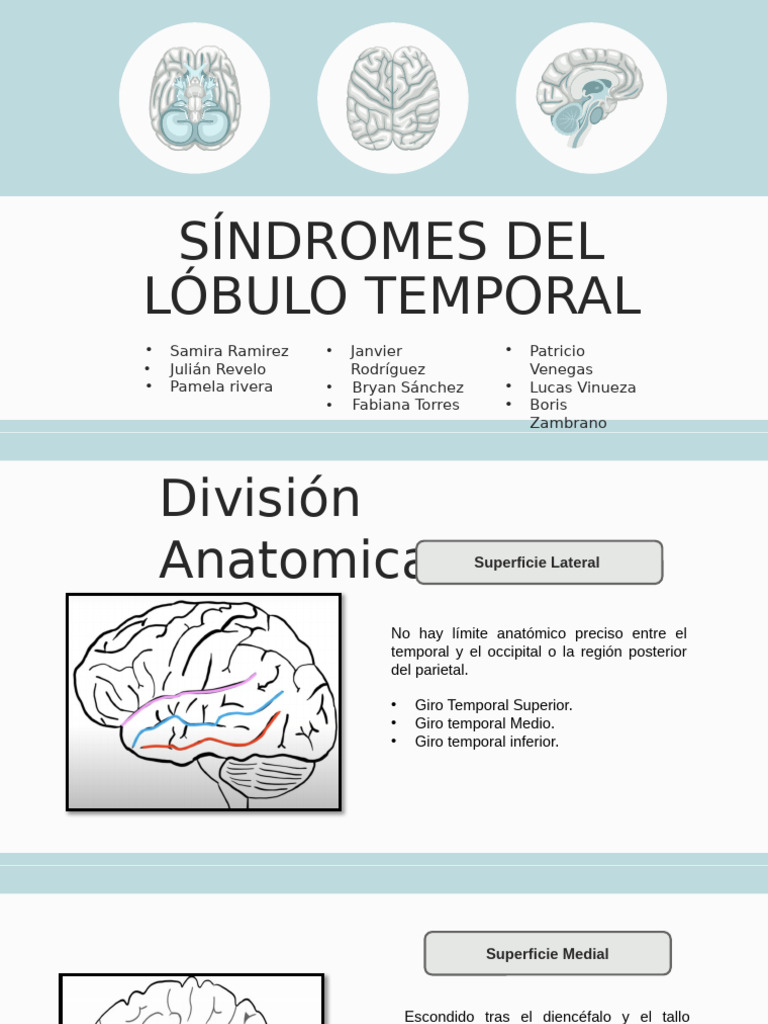 Lobulo Temporal Grupo #3 | PDF | Lóbulo temporal | Epilepsia