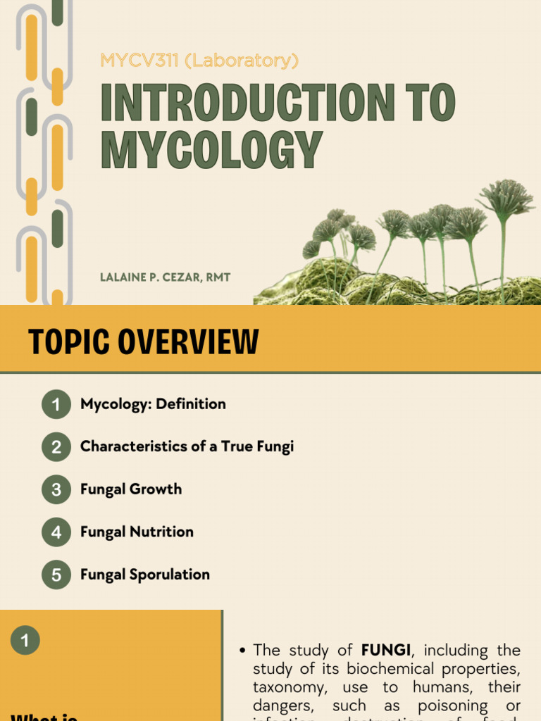 Introduction To Mycology (2nd Sem 2024-2025) | PDF