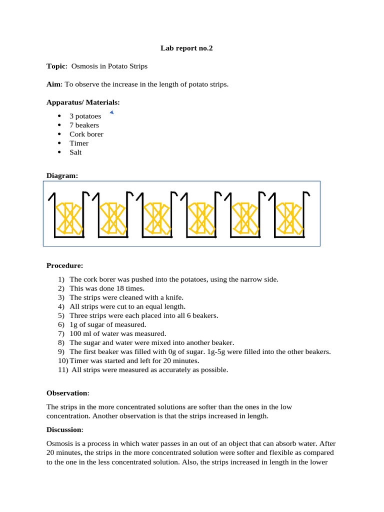 Lab Report of Potato Strips #2 | PDF