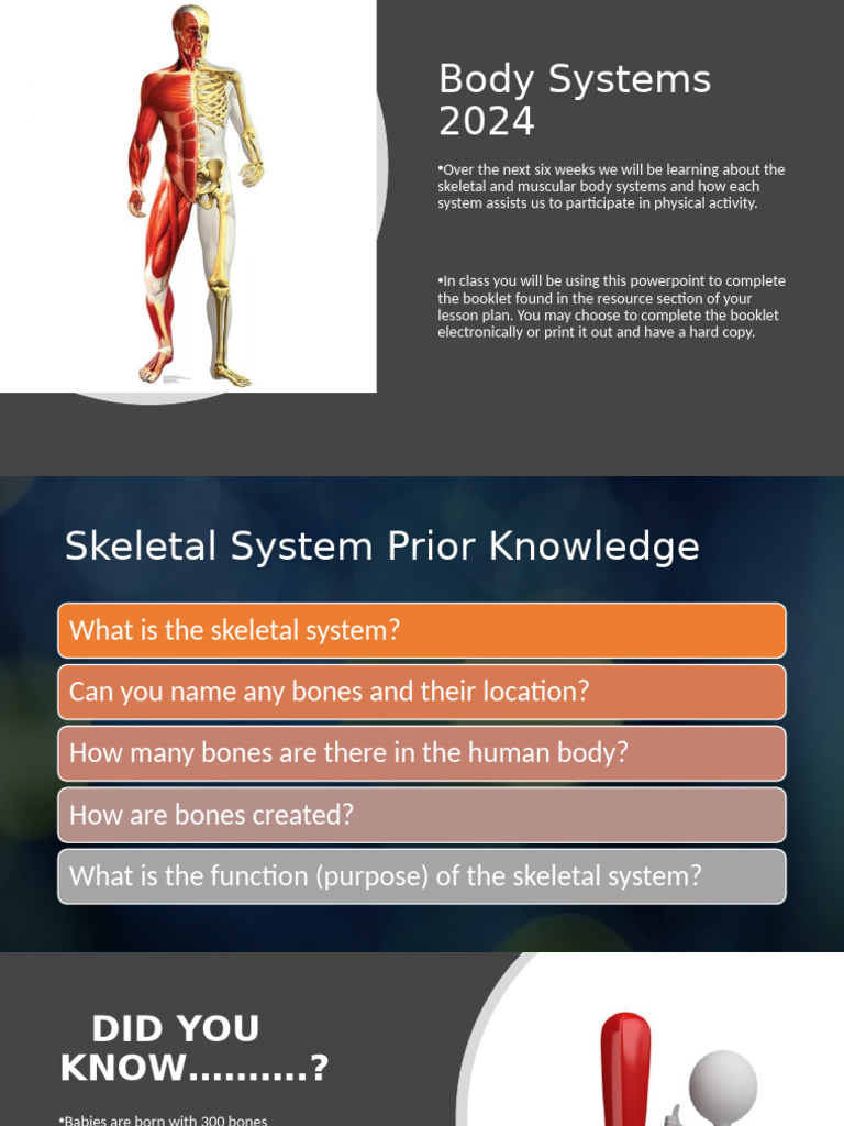 Body Systems - Skeletal System 2024 | PDF | Vertebral Column | Skeleton