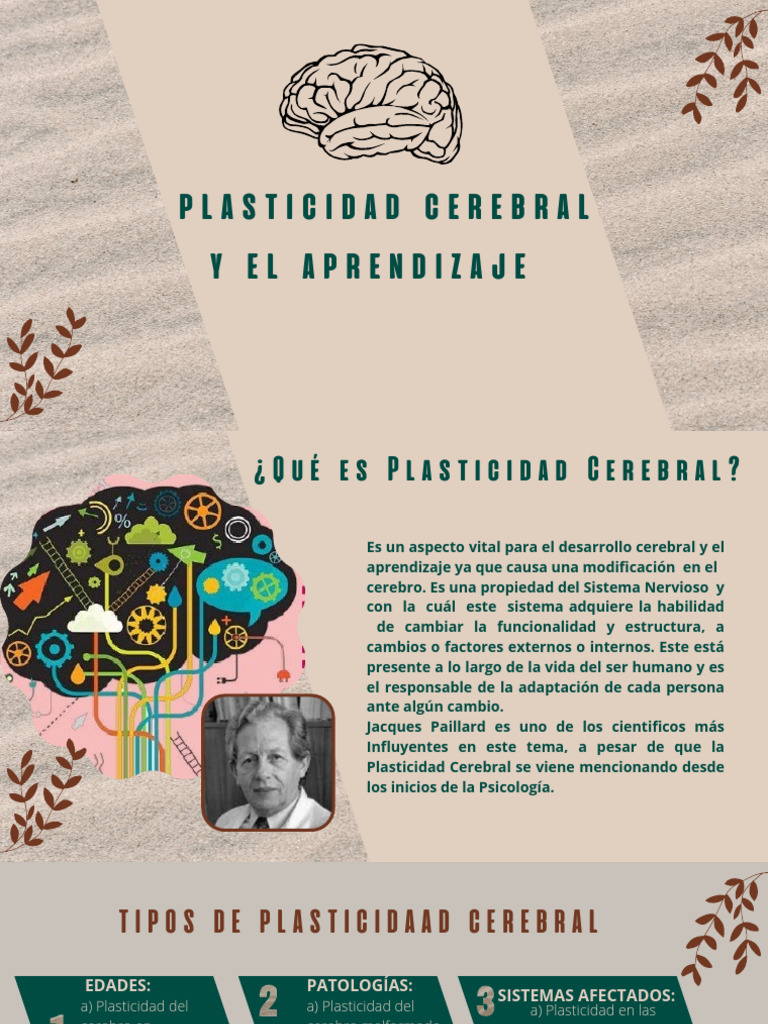 Plasticidad Cerebral y Aprendizaje | PDF | Cerebro | Aprendizaje