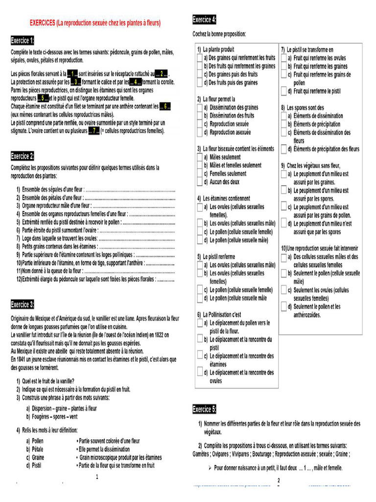Exercices-Unit2-1 01 Angispermes Password Removed | PDF