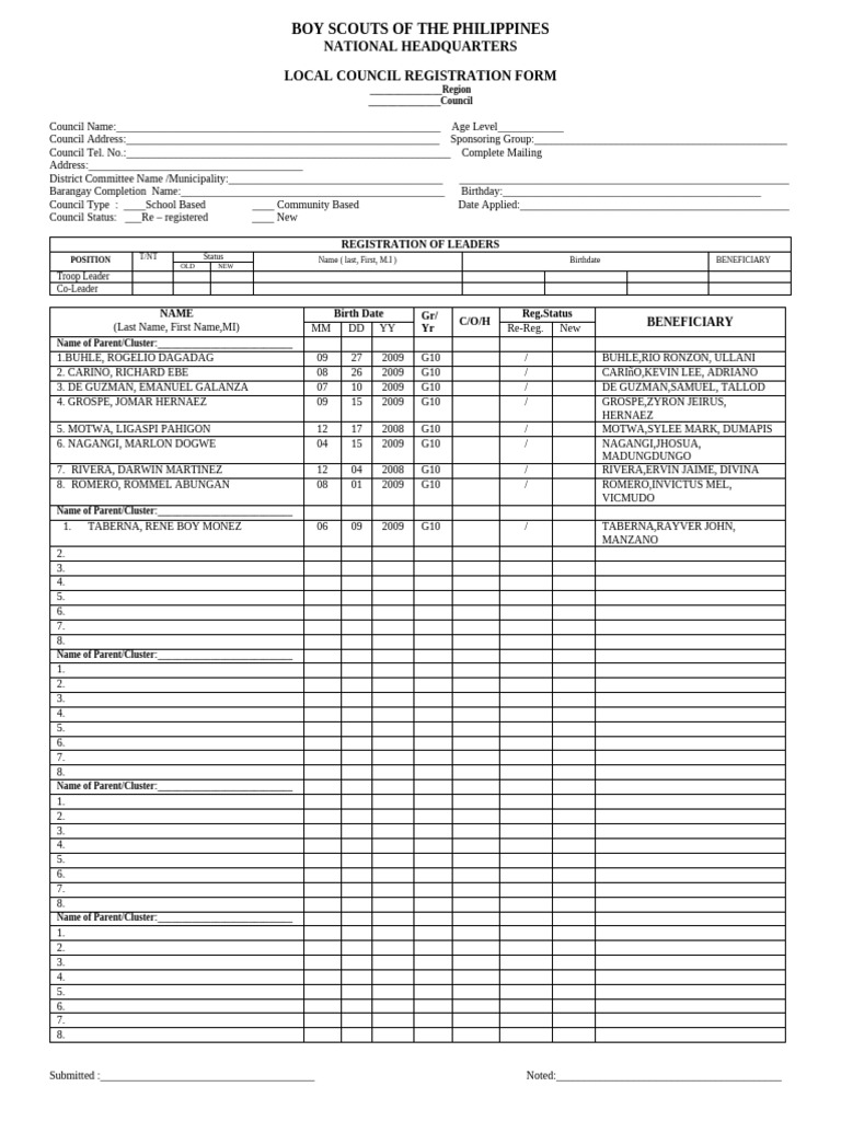 Boy Scouts Local Council Registration Form | PDF