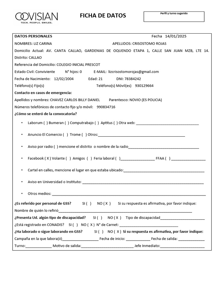 Ficha de Datos | PDF | Soporte técnico | Informática