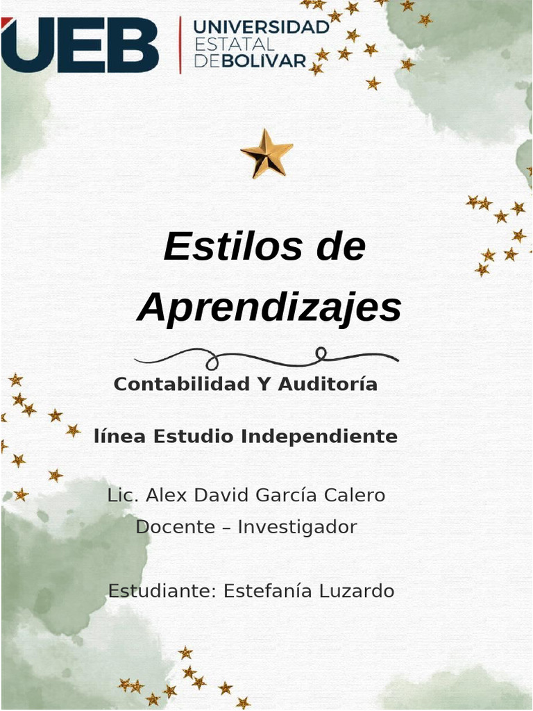 Estilos de Aprendizaje | PDF