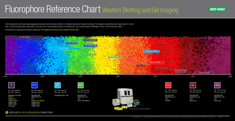 Fluorophore Excitation/Emission Chart | PDF | Fluorophore | Fluorescence