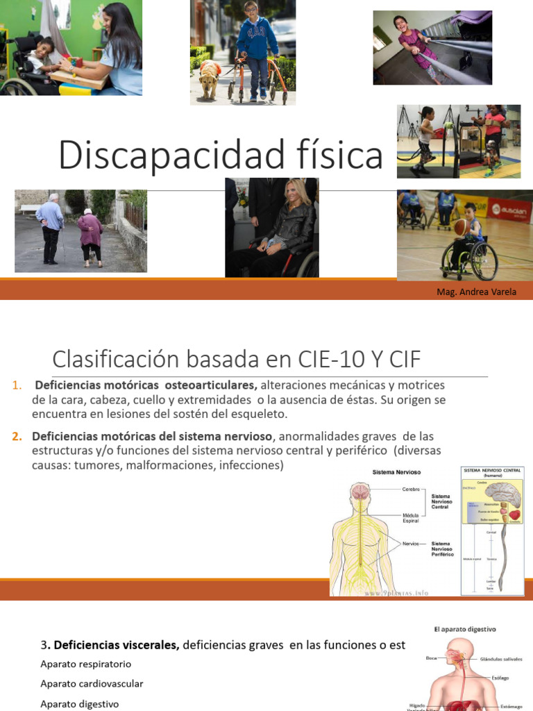 Clasificación y tratamiento de discapacidades físicas | PDF | Sistema ...