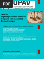 Registro Publico de Comercio | PDF | Economias