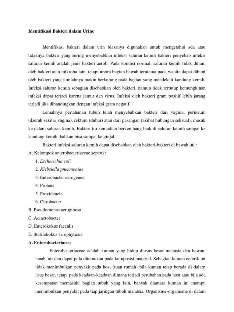 Identifikasi Bakteri Dalam Urine | PDF
