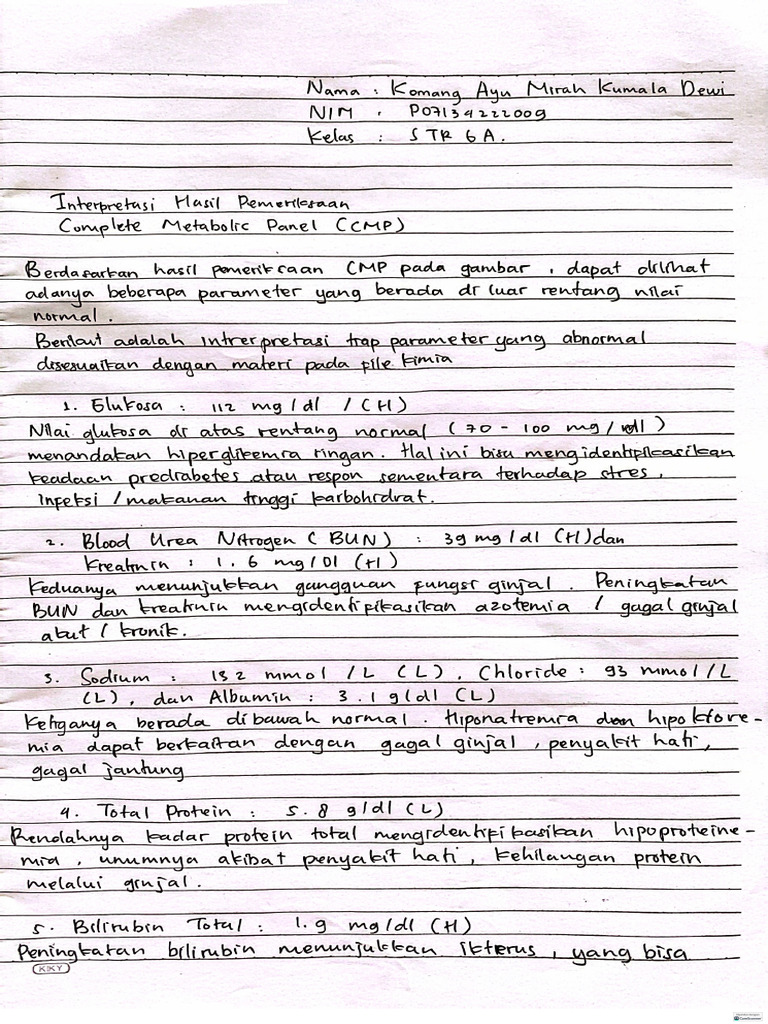 P07134222009 - Komang Ayu Mirah Kumala Dewi 2 | PDF