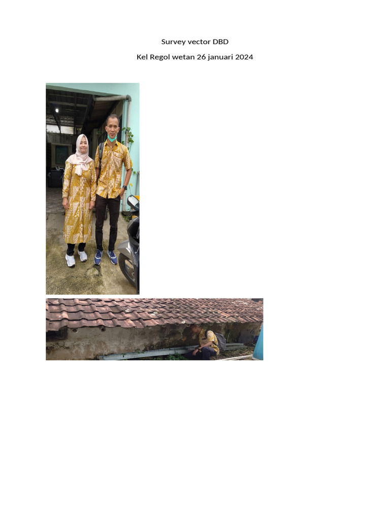 dokumentasi Survey vector DBD | PDF