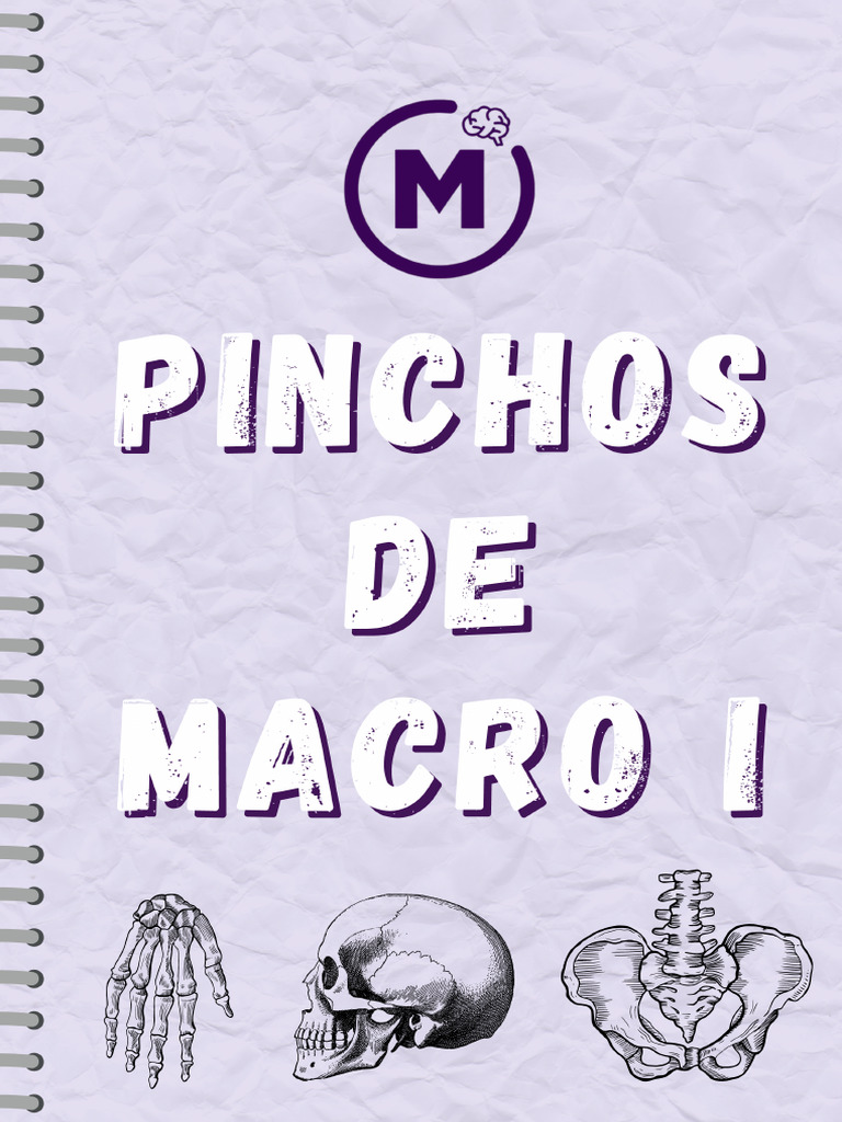 Picnhos Anato | PDF