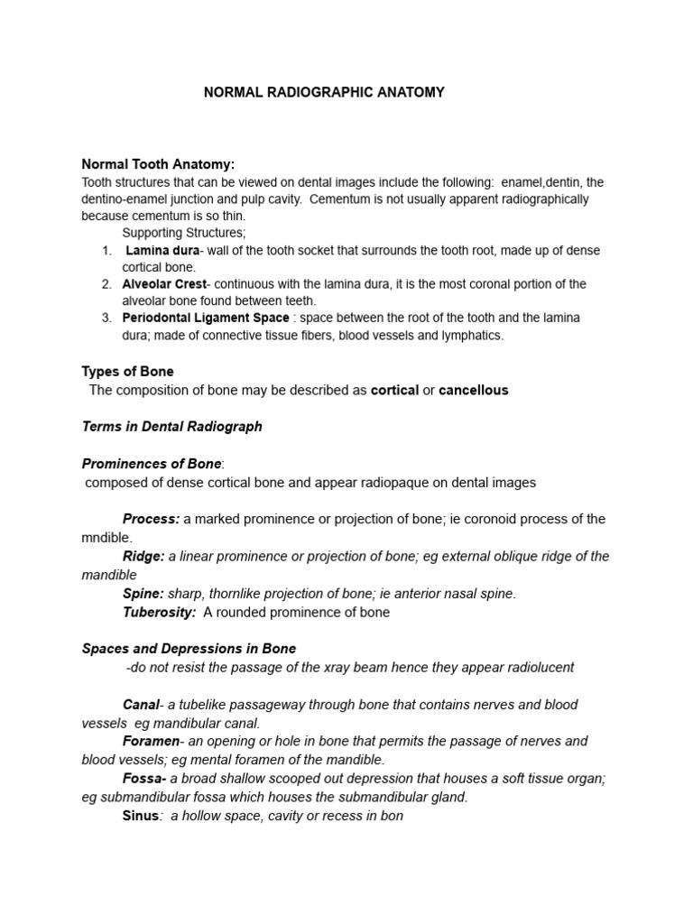 Normal Tooth and Bone Anatomy in Radiography | PDF | Dental Anatomy ...
