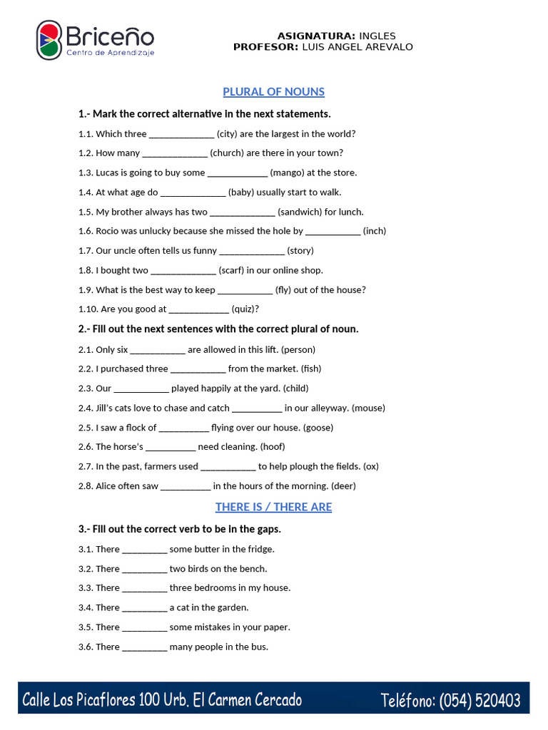 Plural Nouns and Quantifiers Exercises | PDF | Foods | Cuisine