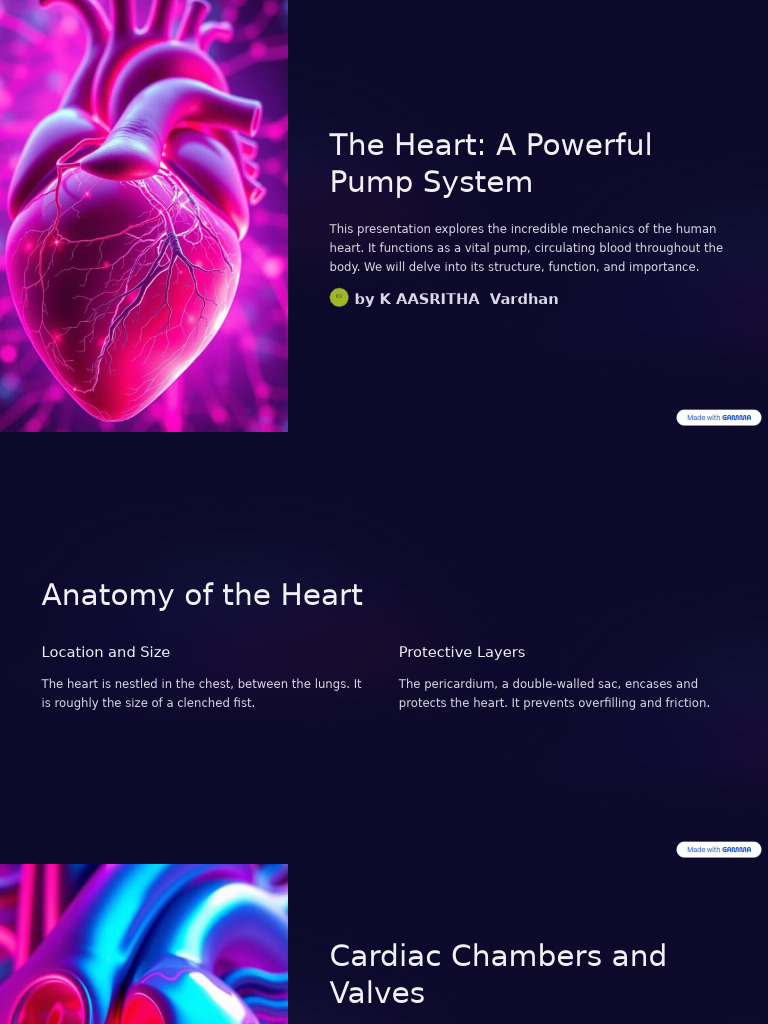 Human Heart Mechanics Explained | PDF | Heart | Ventricle (Heart)