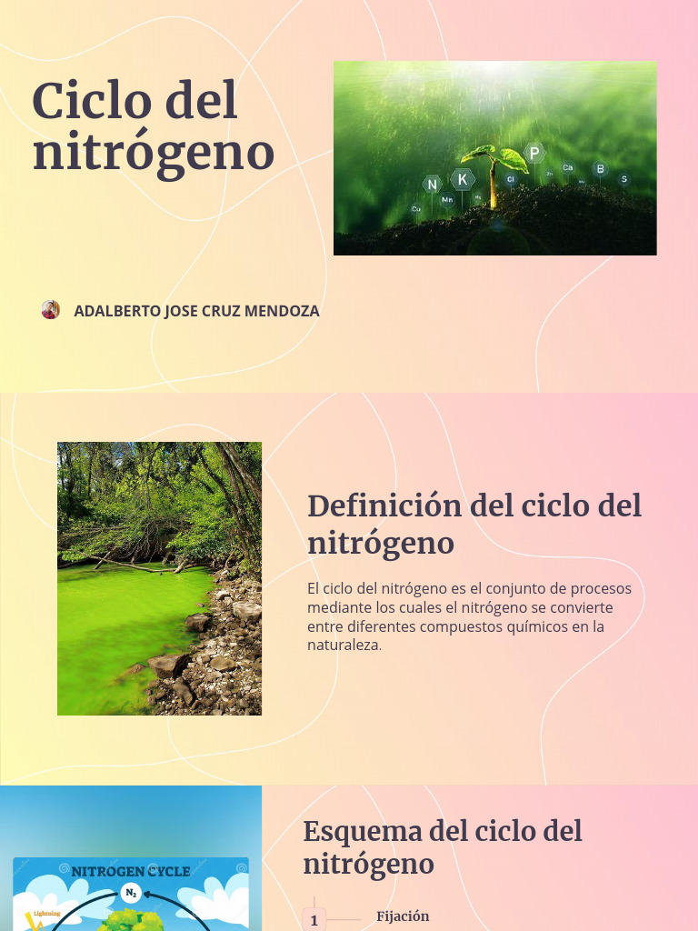 Ciclo Del Nitrogeno.. | PDF