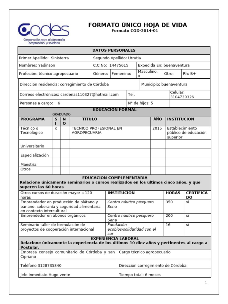 Formato Unico Hoja de Vida Codes | PDF
