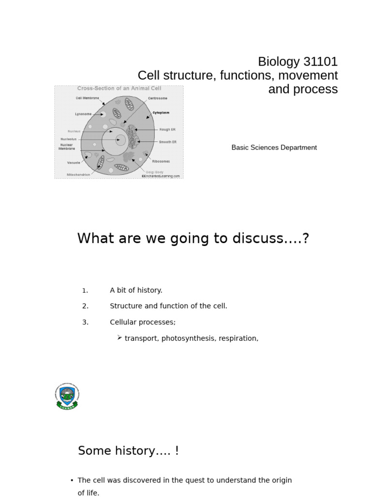 Cell Structure and Function Overview | PDF | Cellular Respiration ...
