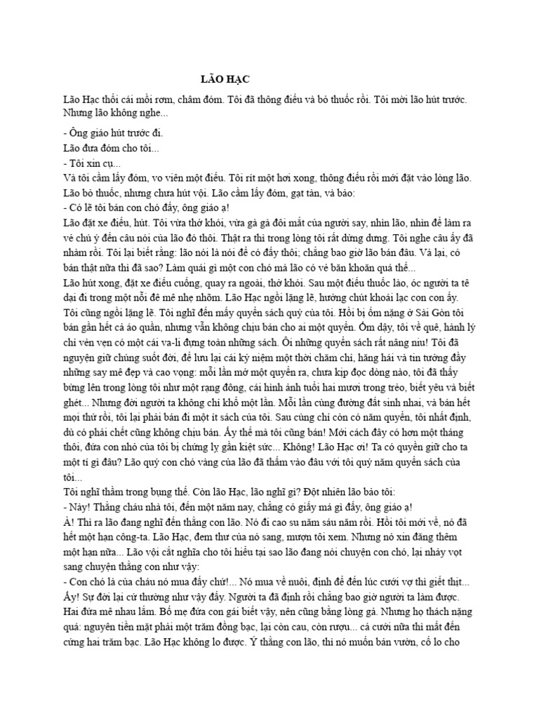 Lão H C | PDF