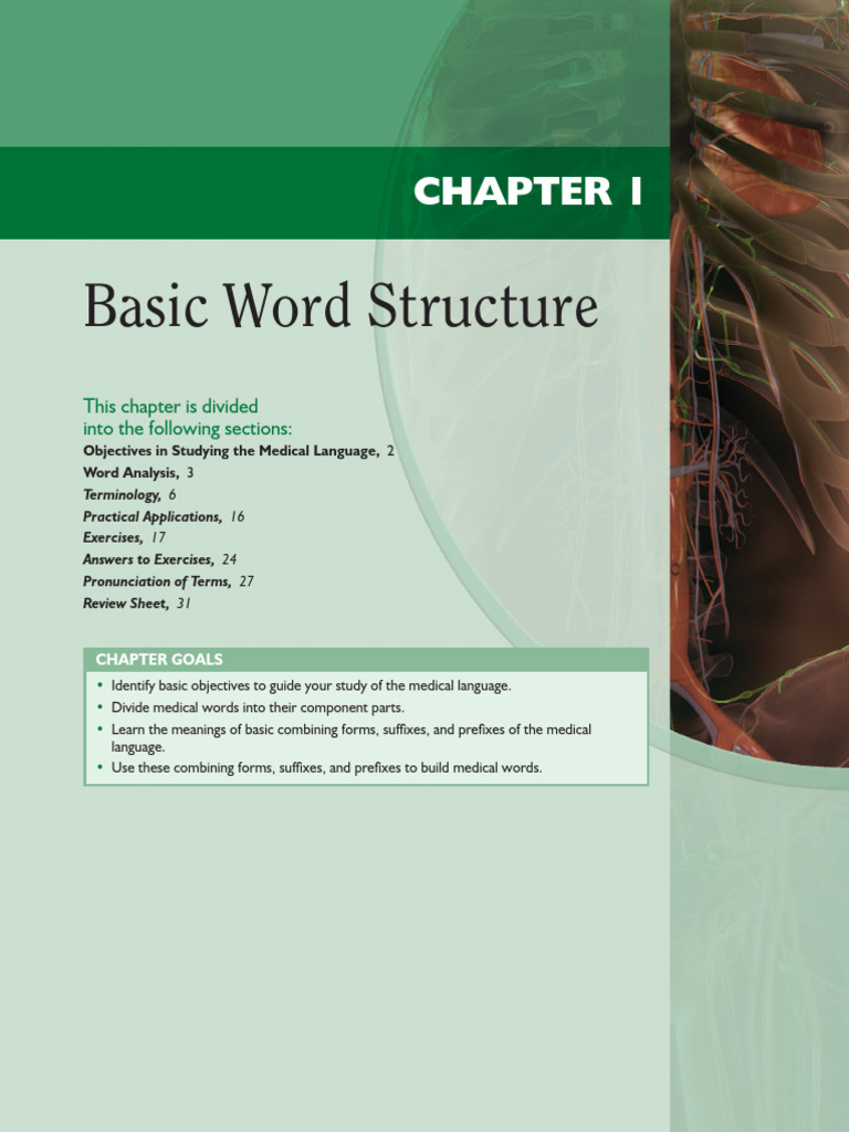 Chapter 1A Basic Word Structure | PDF | Hyperthyroidism | Urinary System