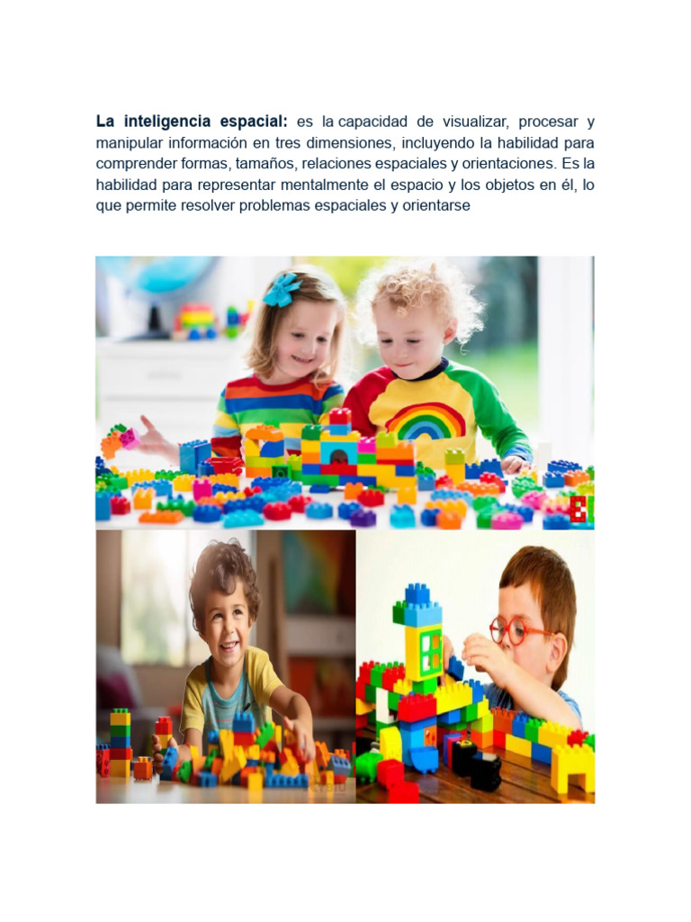 INTELIGENCIA ESPACIAL | PDF