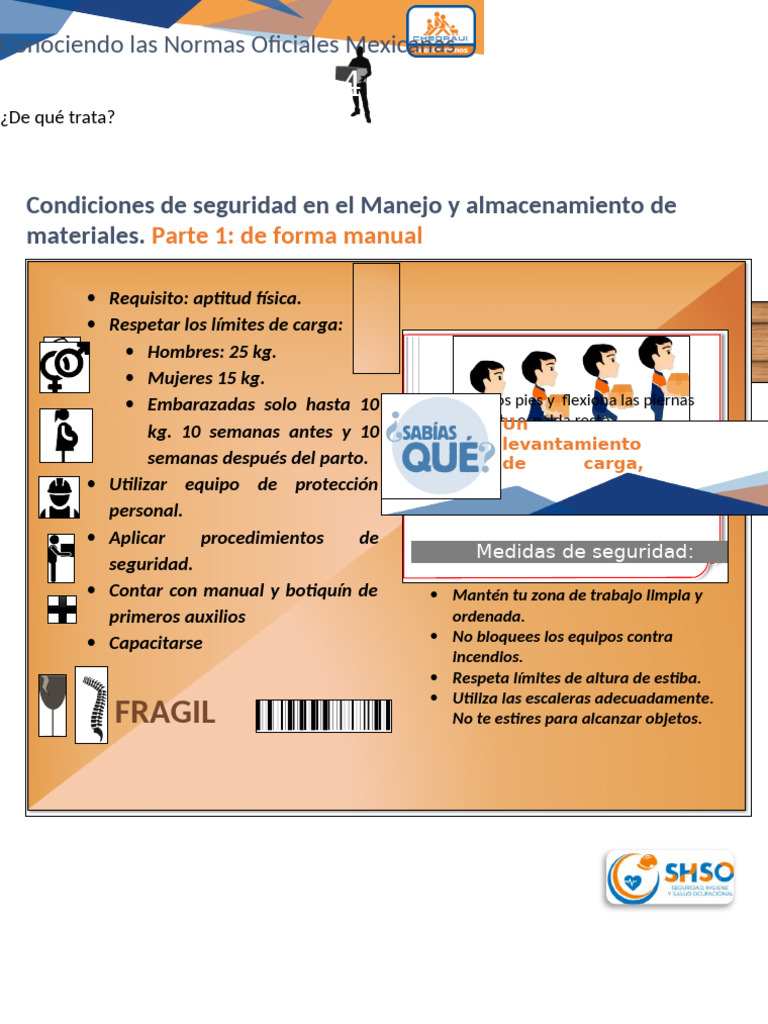 Nom 006 STPS 2014 1 | PDF