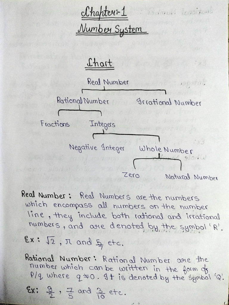 Types of Real Numbers Explained | PDF | Numbers | Division (Mathematics)