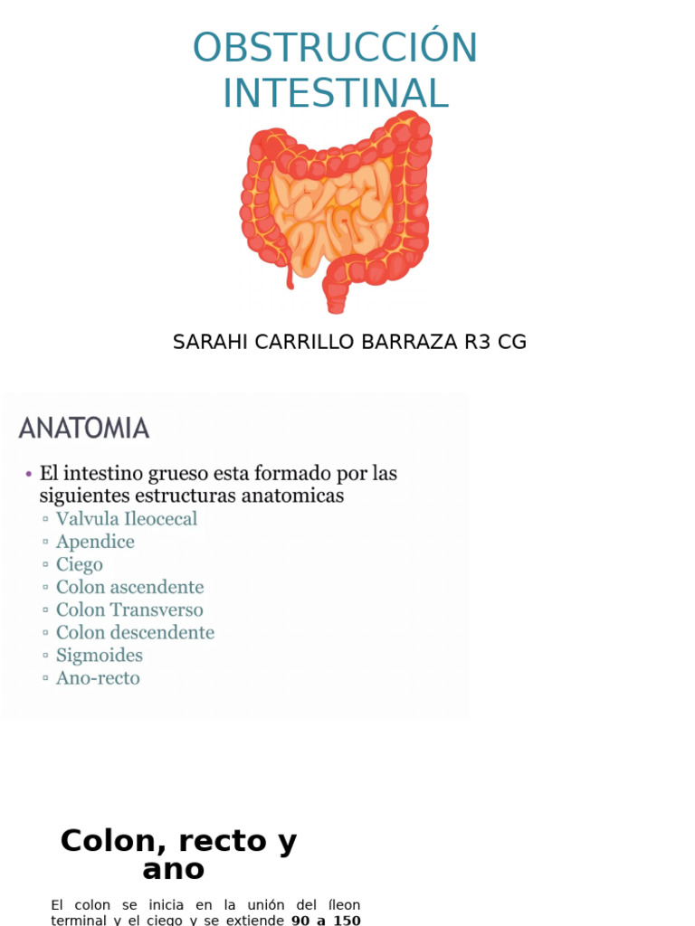 Obstrucción Intestinal: Diagnóstico y Tratamiento | PDF | Intestino ...