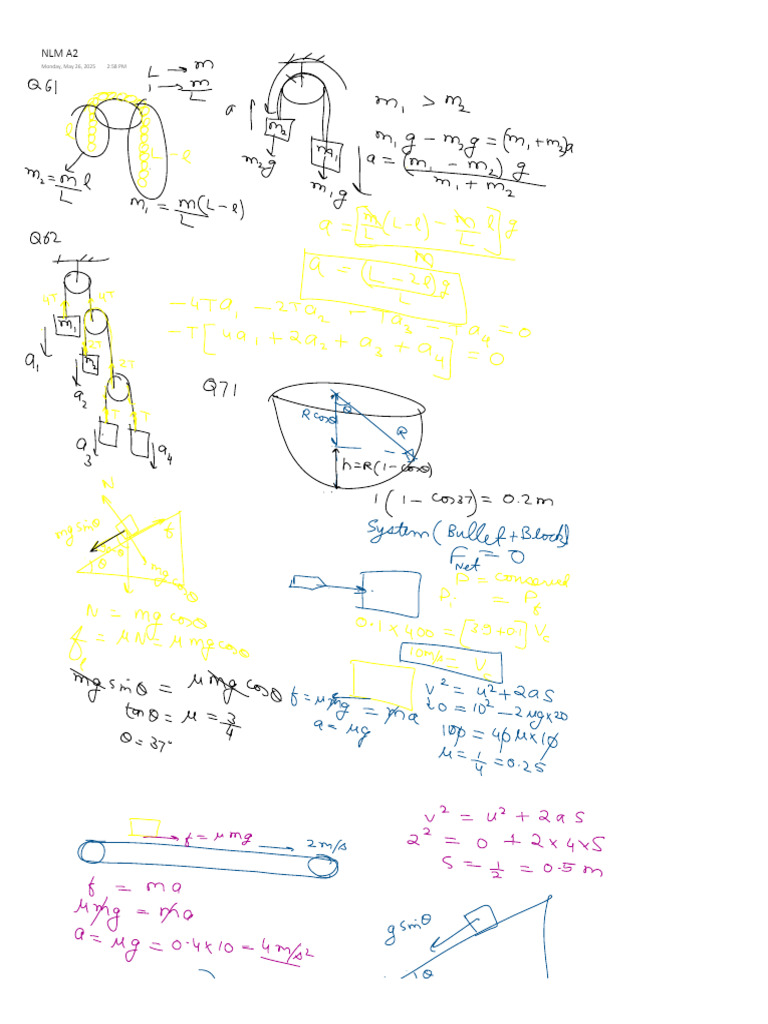 NLM Step 2 Remaining | PDF