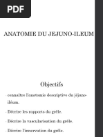 Anatomie des anses grêles et mésentère | PDF | Péritoine | Spécialités ...