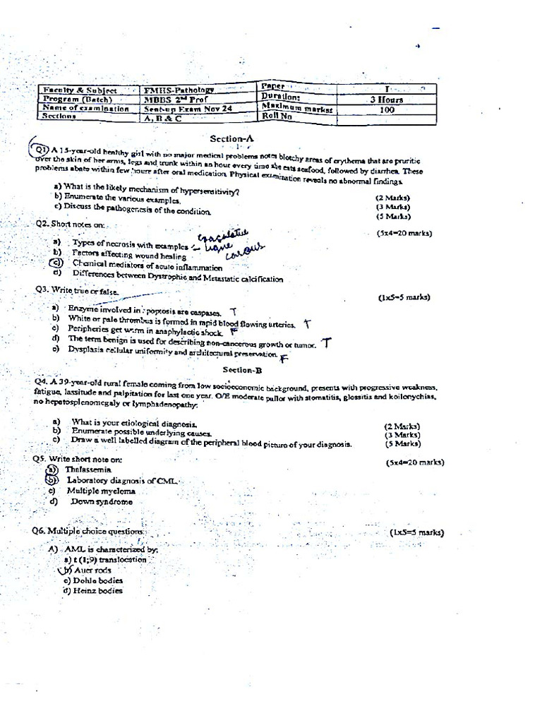 2022 Patho Sentups | PDF