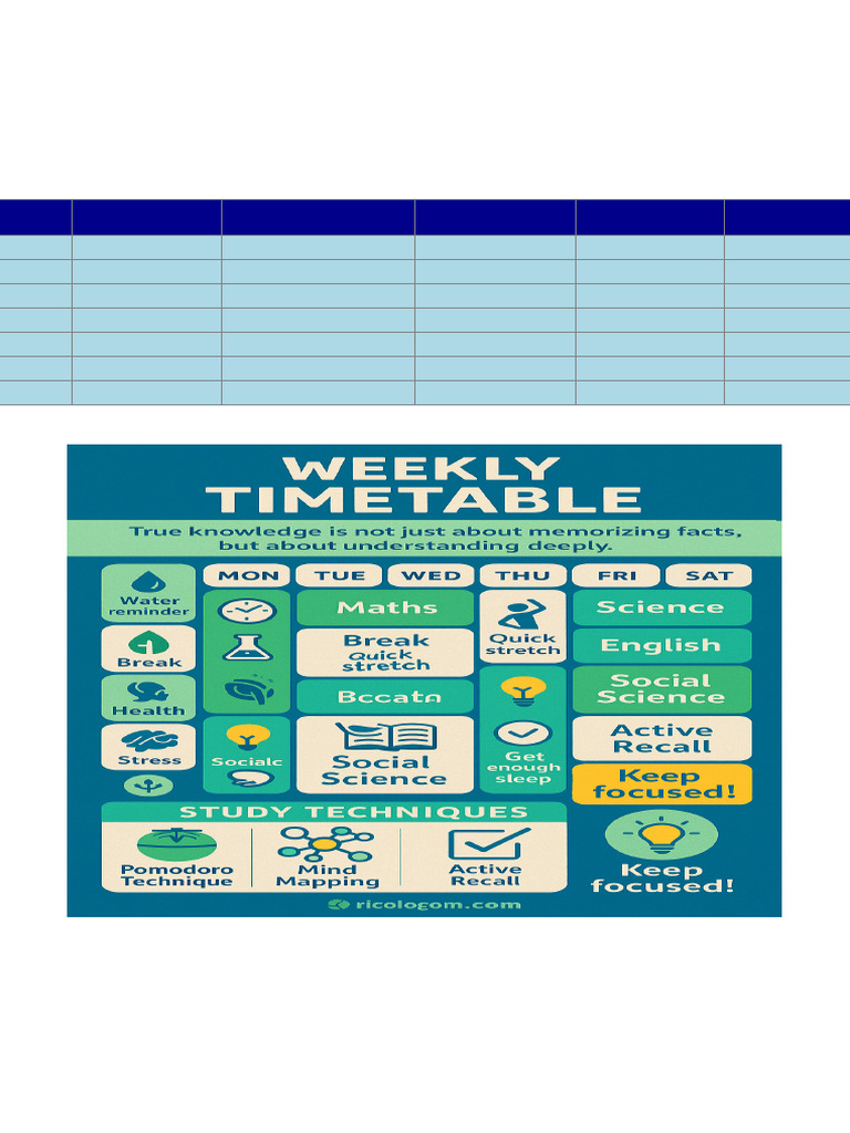 Class9 Visual Timetable Infographic Large | PDF